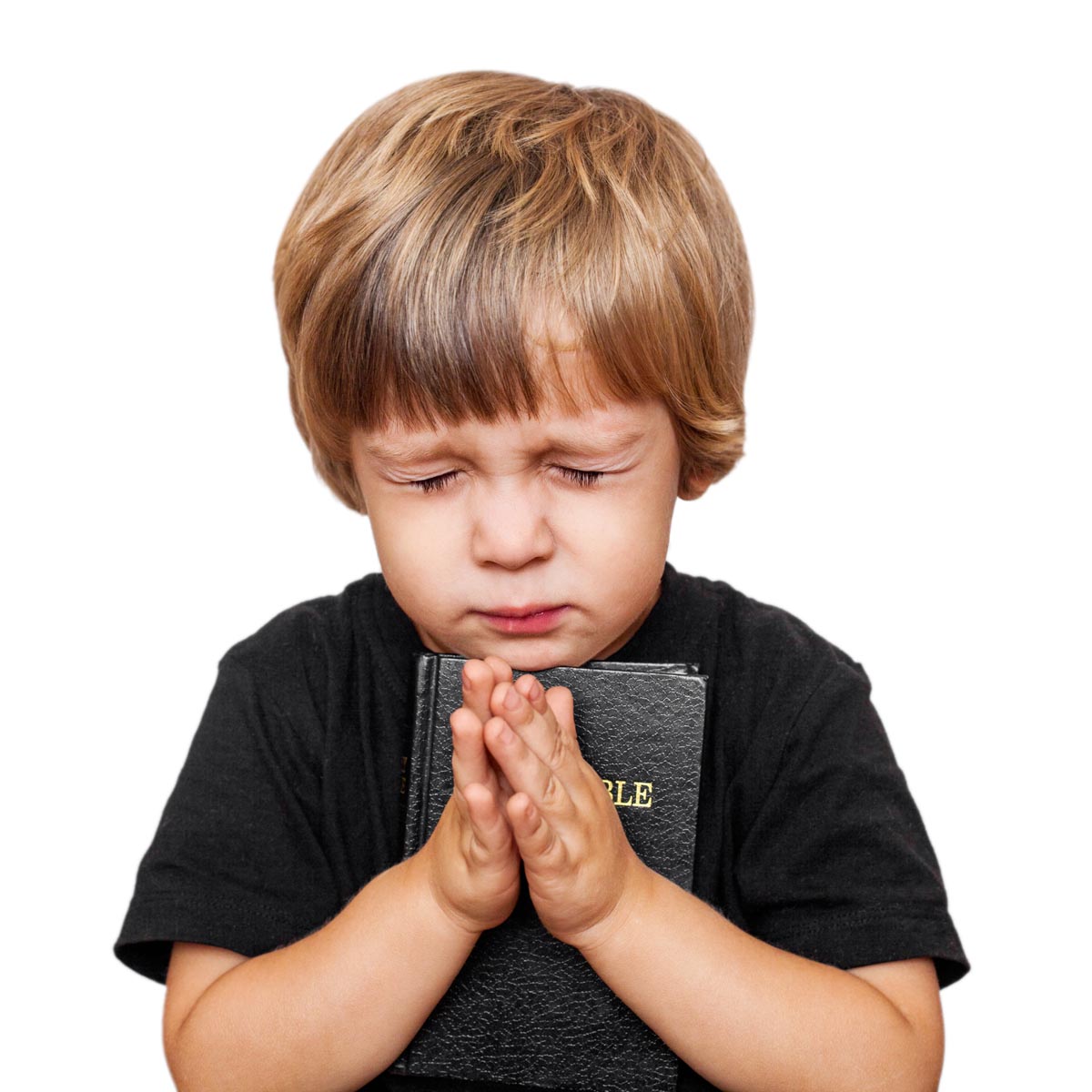 How to overcome a divided heart | | Living Life Successfully